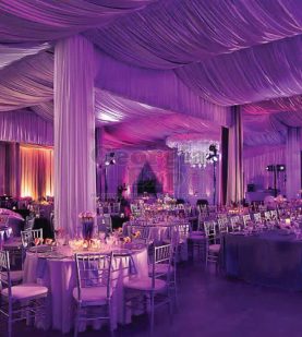 Ceiling Drape | Georgia Expo